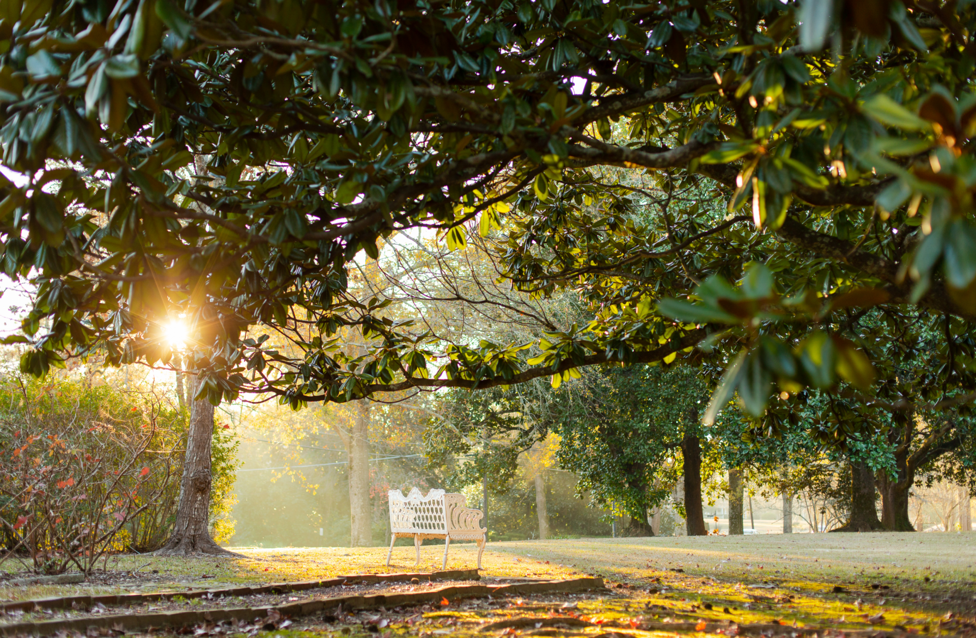 Blue Bluff Campground & Recreation - Aberdeen